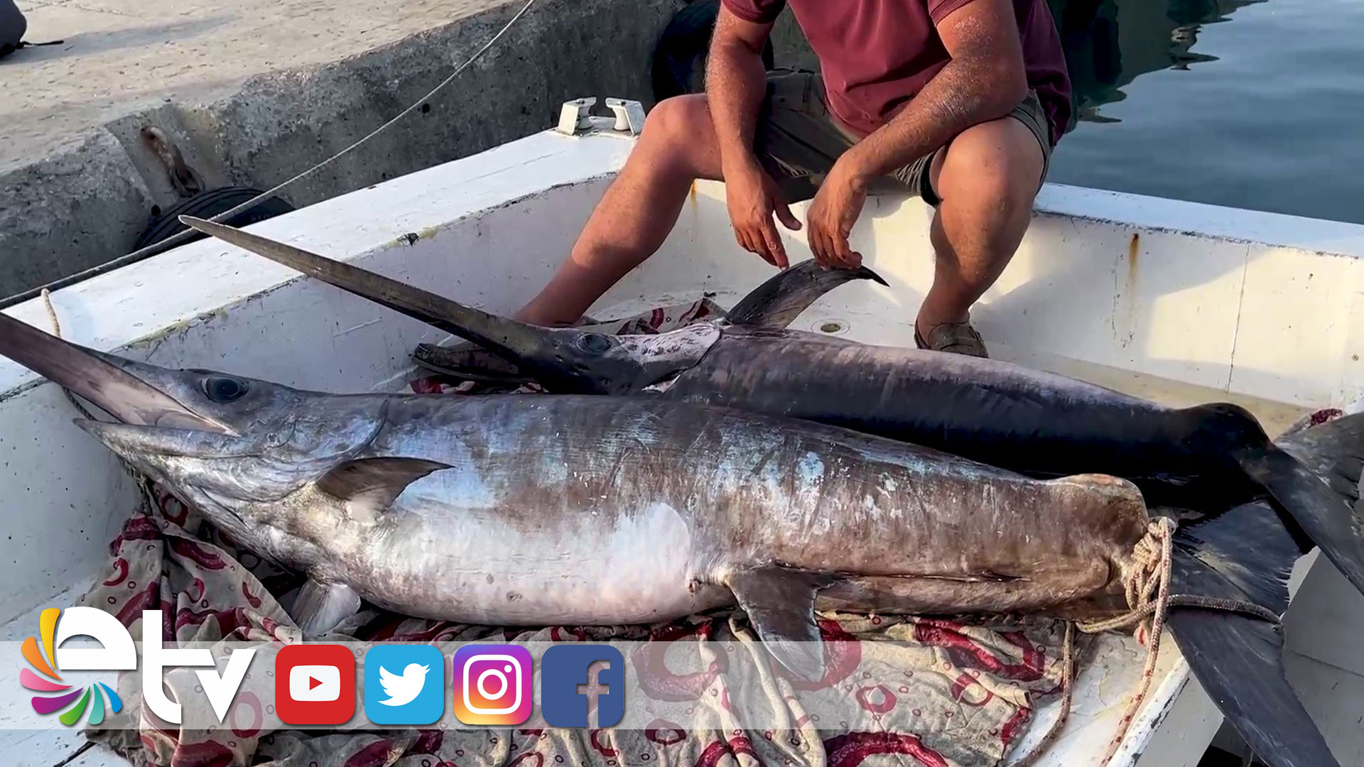 87 KİLOLUK KILIÇ BALIĞI AVLADI - Edirne Haber TV