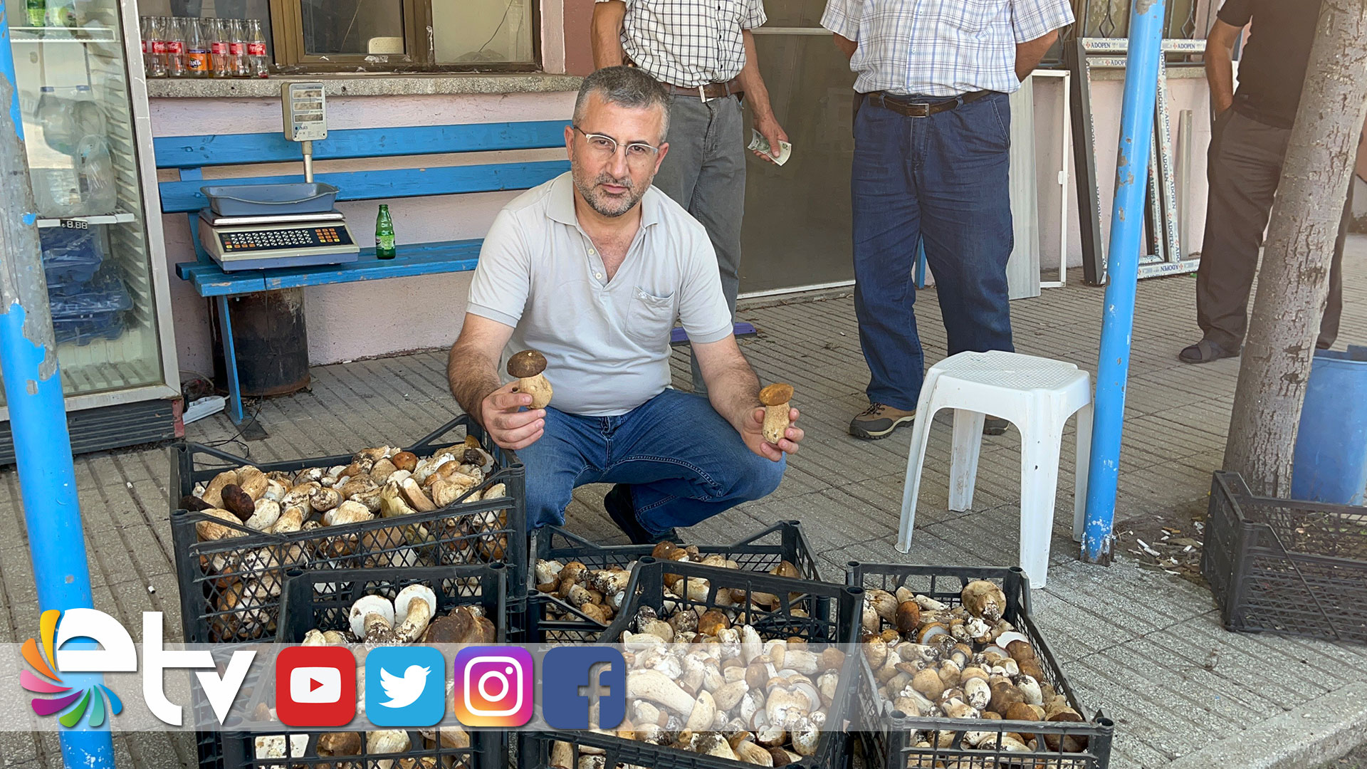 AYI MANTARI KÖYLÜNÜN GELİR KAPISI OLDU - Edirne Haber TV